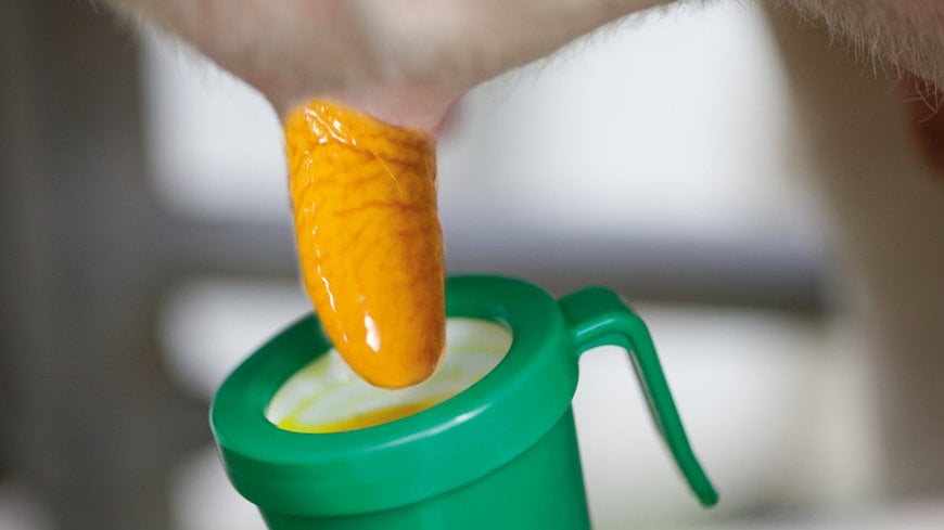 GEA introduces new premium barrier teat dip based on chlorine dioxide ...