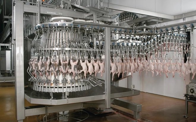 Six important points for a top evisceration operation | Food Process ...