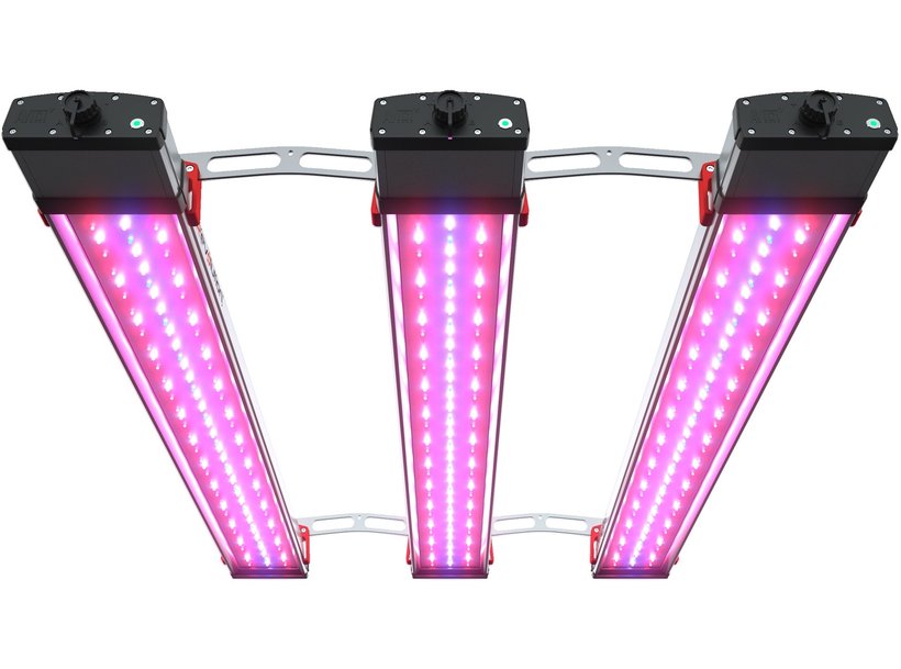 ams OSRAM’s OSLON ® cutting edge technology in horticulture lighting is ...