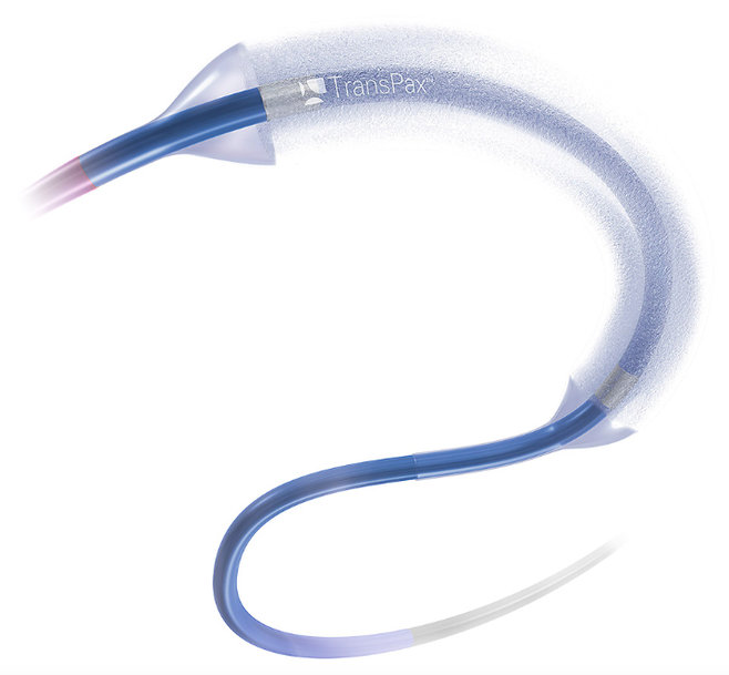 BOSTON SCIENTIFIC POSITION ON FDA UPDATE ABOUT USE OF PACLITAXEL-COATED ...