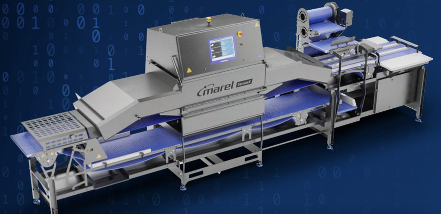 MAREL PRESENTS NEW ADAPTIVE BONE DETECTION FOR SENSORX | Food Process ...