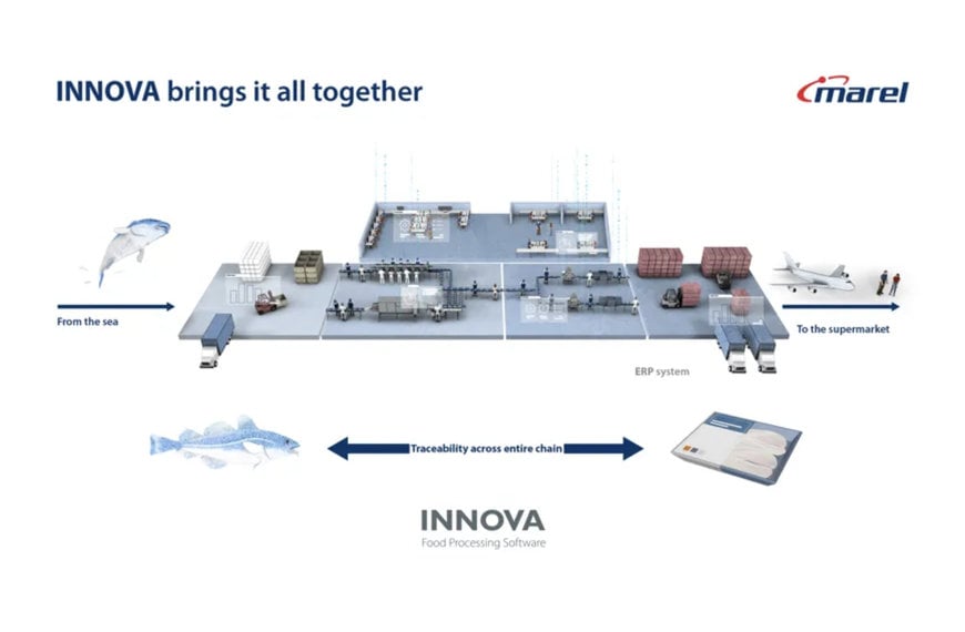 MAREL: HOW DIGITAL TECHNOLOGY ENSURES FISH PRODUCT TRACEABILITY | Food ...
