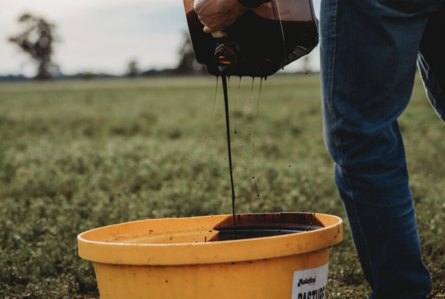 GrainCorp expands Animal Nutrition portfolio with Performance Feeds and ...