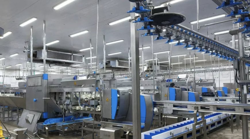 Shandong Taihe transforms its operations with Marel technologies for ...