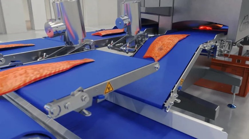 Marel relaunches QC Scanner MS 2920 for salmon processing | Food ...