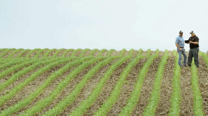 Pioneer Brand Plenish High Oleic Enlist E3 Soybeans Available in 2025 ...