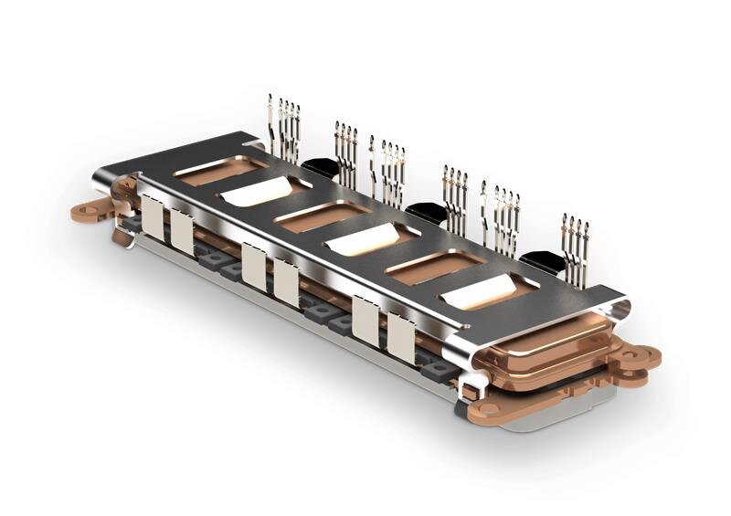 BorgWarner Showcases Latest Power Module Technology at the 46th Vienna ...