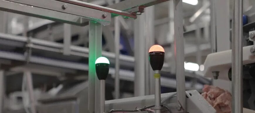 Marel SensorX Infeed Boosts Processing Line Efficiency | Food Process ...