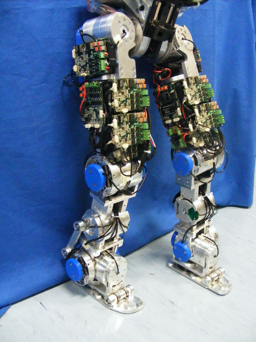 Learning to walk faster with high performance modelling | Industry ...